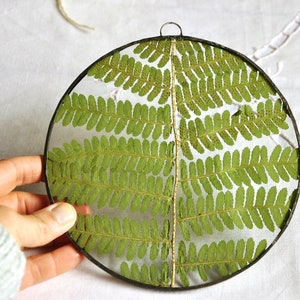 Pressed Fern Frame Fern in Round Frame Green Fern in Glass | Etsy