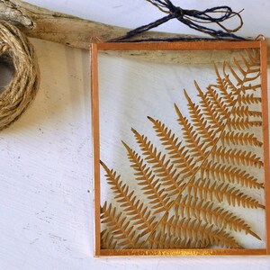 Pressed Fern Frame Fern Plant Art Autumn Fern Golden Golden - Etsy