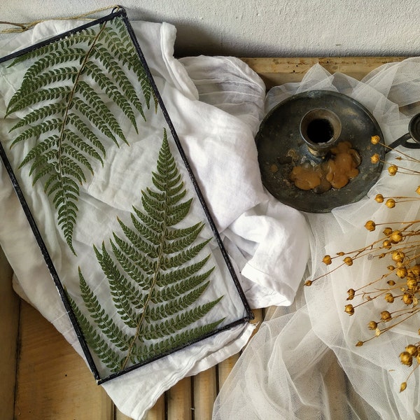 Pressed Fern Framed - Etsy