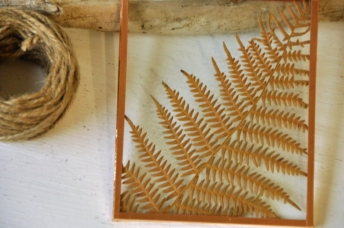 Pressed Fern Frame Fern Plant Art Autumn Fern Golden Golden | Etsy