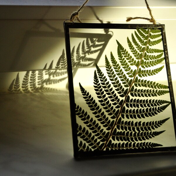 Green Fern - Etsy