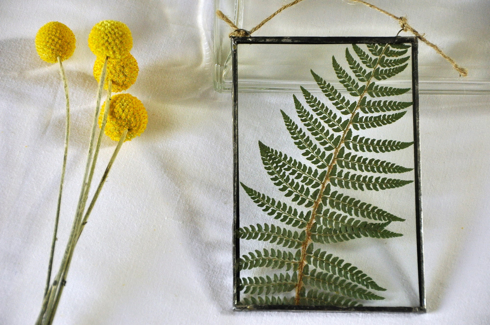 Green Fern frame Real Fern glass frame Green Fern Forest | Etsy