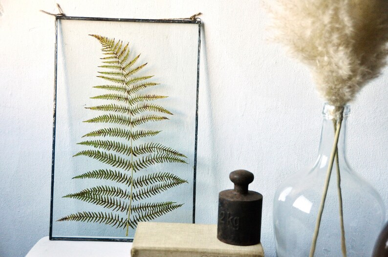 Big Pressed Fern Frame Real Fern Glass Frame Fern Hanging | Etsy