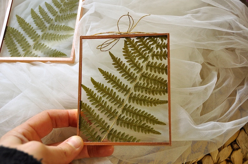 Pressed Fern Frame. Fern Art. Glass Frame. Copper Taped Frame. | Etsy