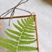 Pressed Fern Frame. Fern Art. Glass Frame. Copper Taped Frame. - Etsy