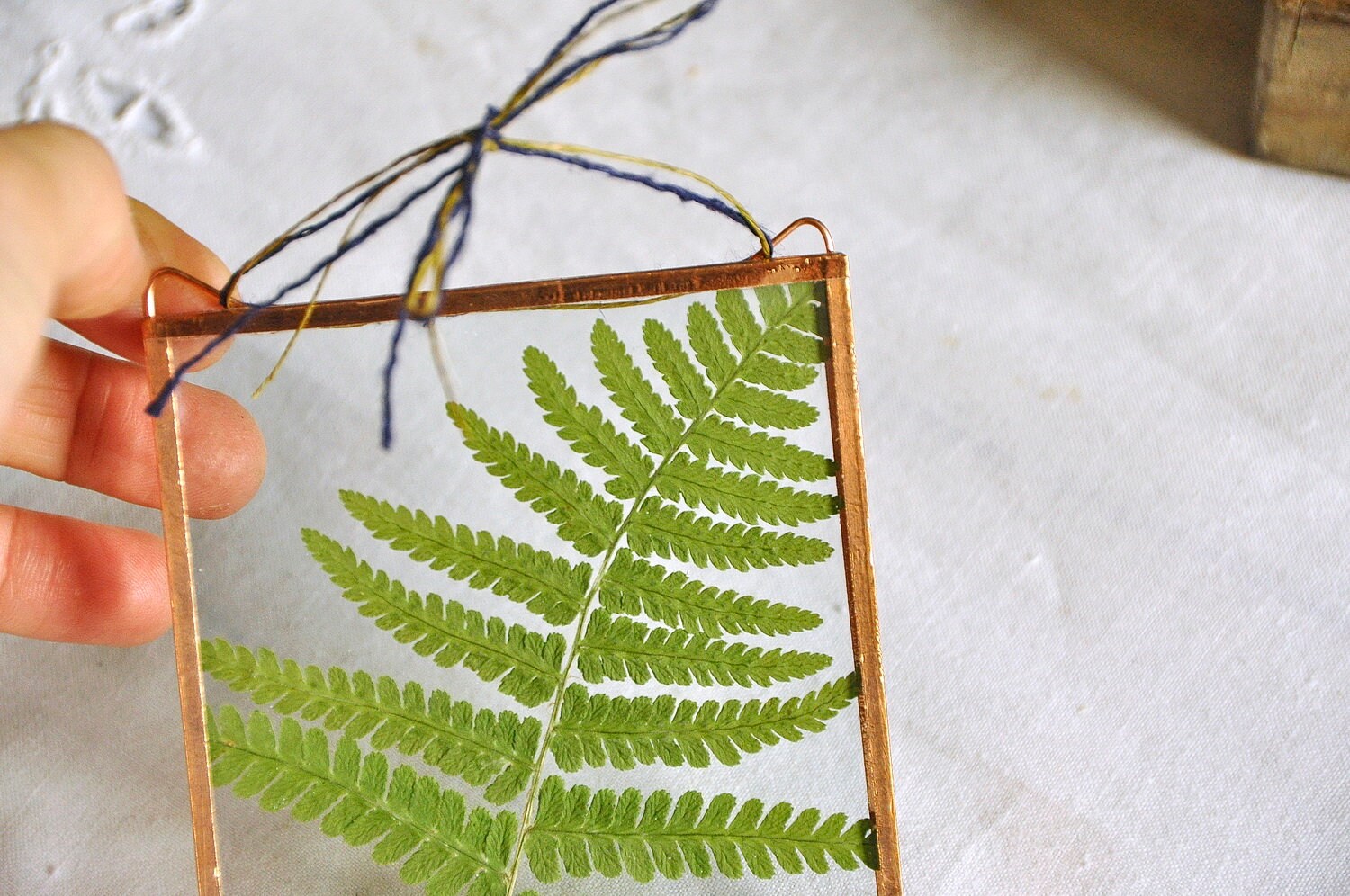 Pressed Fern Frame. Fern Art. Glass Frame. Copper Taped Frame ...