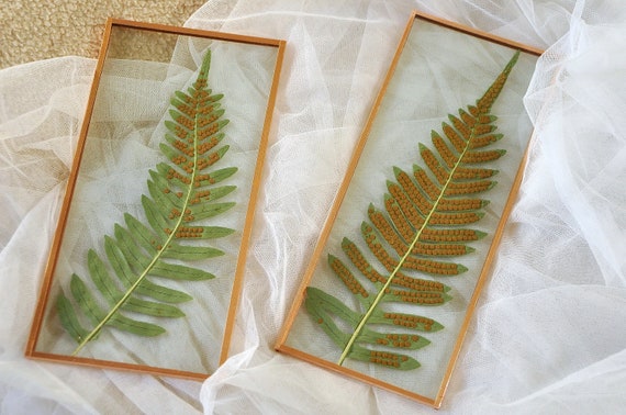 Pressed Flower Frame Pressed Flower Art Real Dried Pressed | Etsy