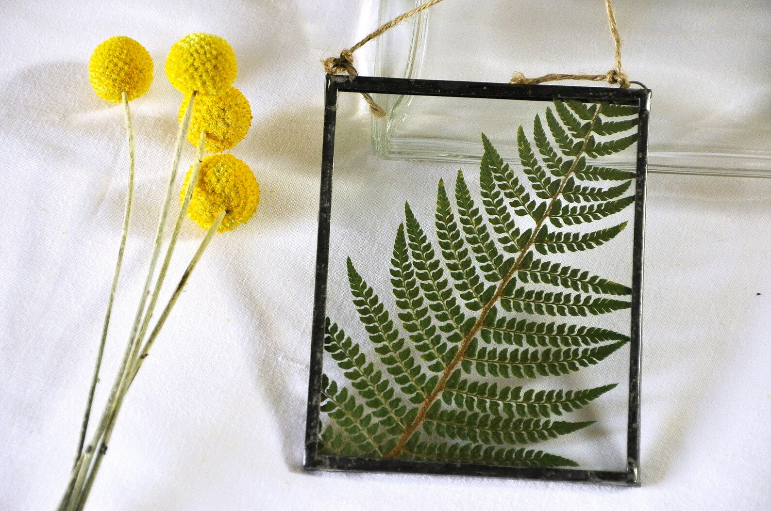 Green Fern Frame Real Fern Glass Frame Green Fern Forest - Etsy