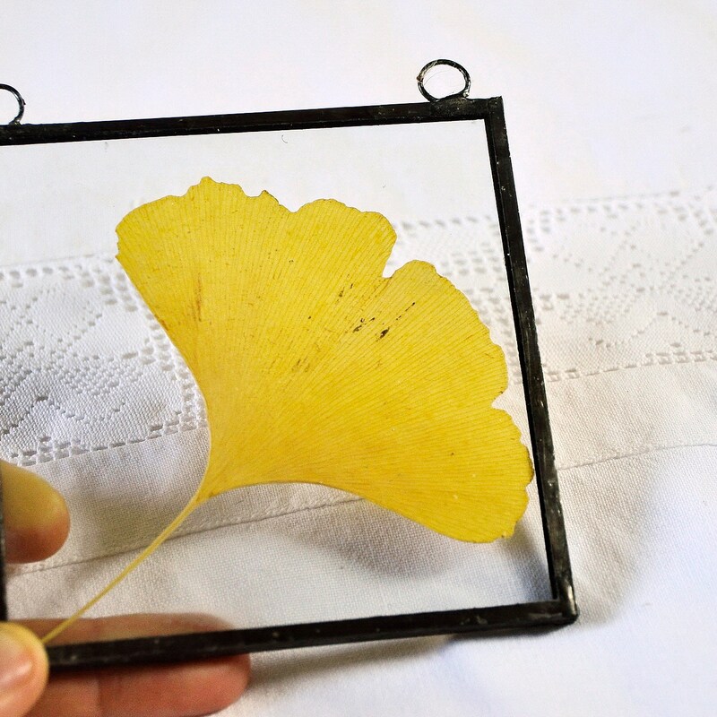 Pressed Glass Leaves - Etsy