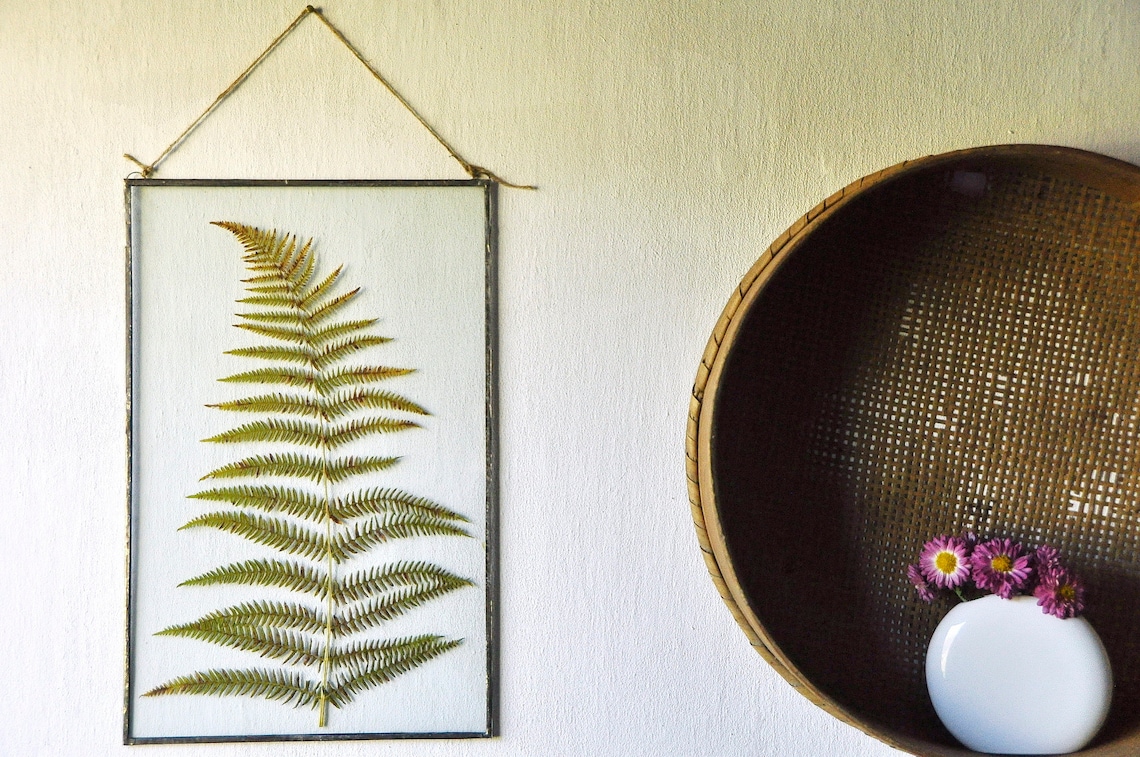 Big Pressed Fern Frame Real Fern Glass Frame Fern Hanging - Etsy