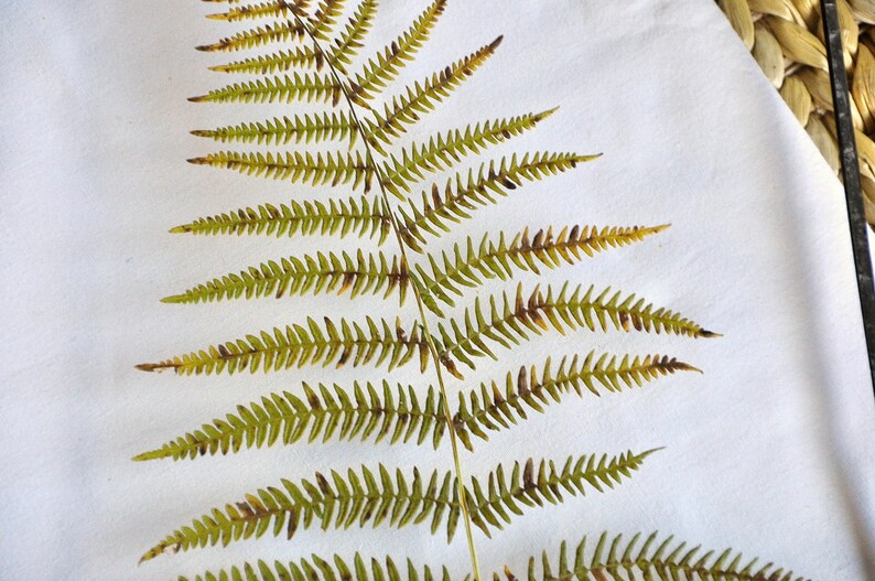 Big Pressed Fern Frame Real Fern Glass Frame Fern Hanging - Etsy