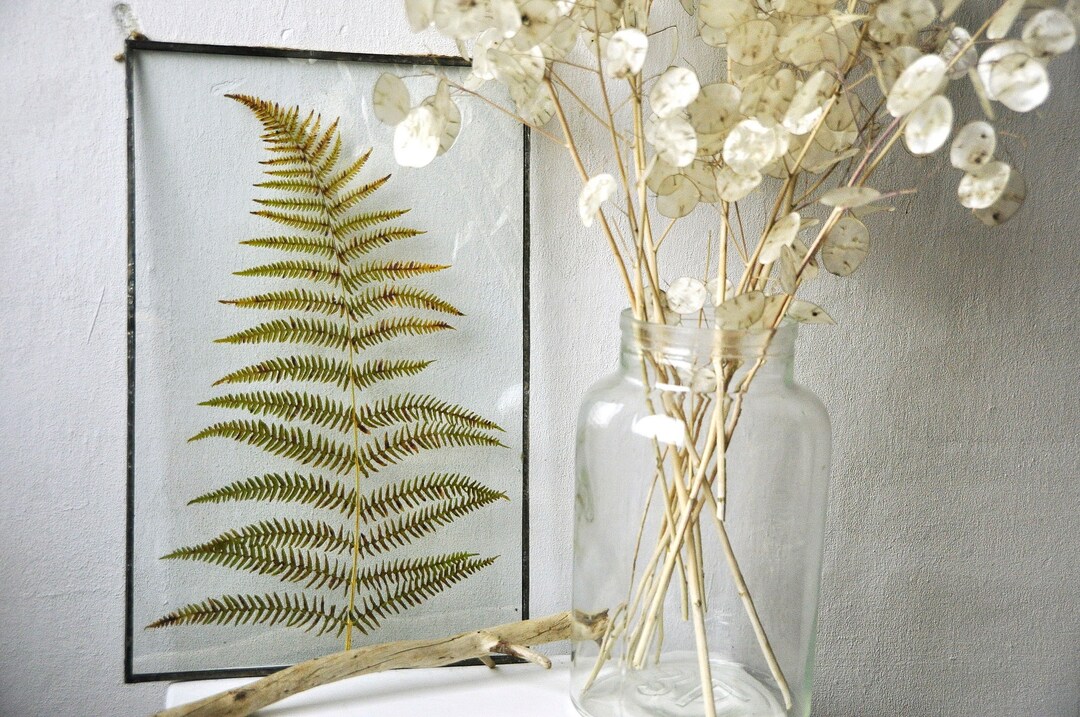 Big Pressed Fern Frame, Real Fern Glass Frame, Fern Hanging, Minimalism ...