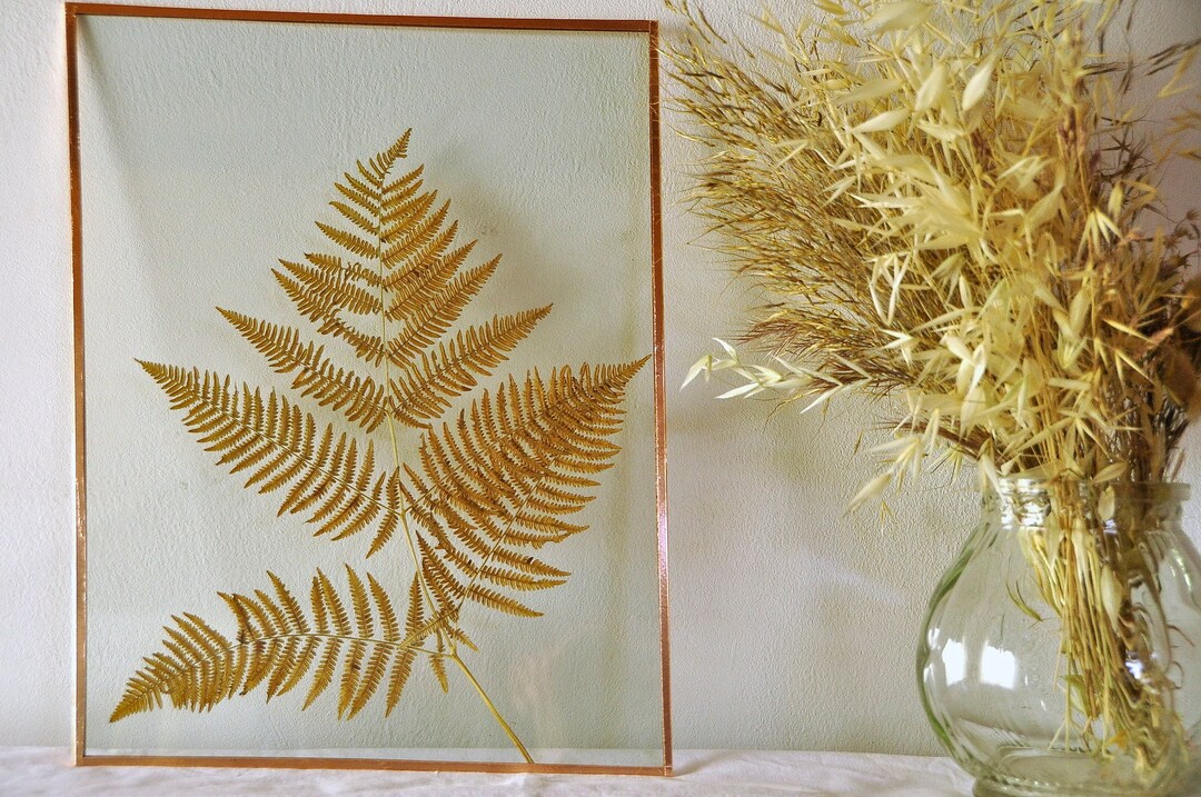 Pressed Autumn Brown Fern Frame Scandinavian Decor Fern Frame Wedding ...
