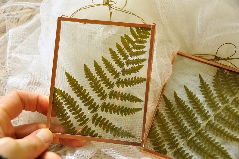 Pressed Fern Frame. Fern Art. Glass Frame. Copper Taped Frame ...