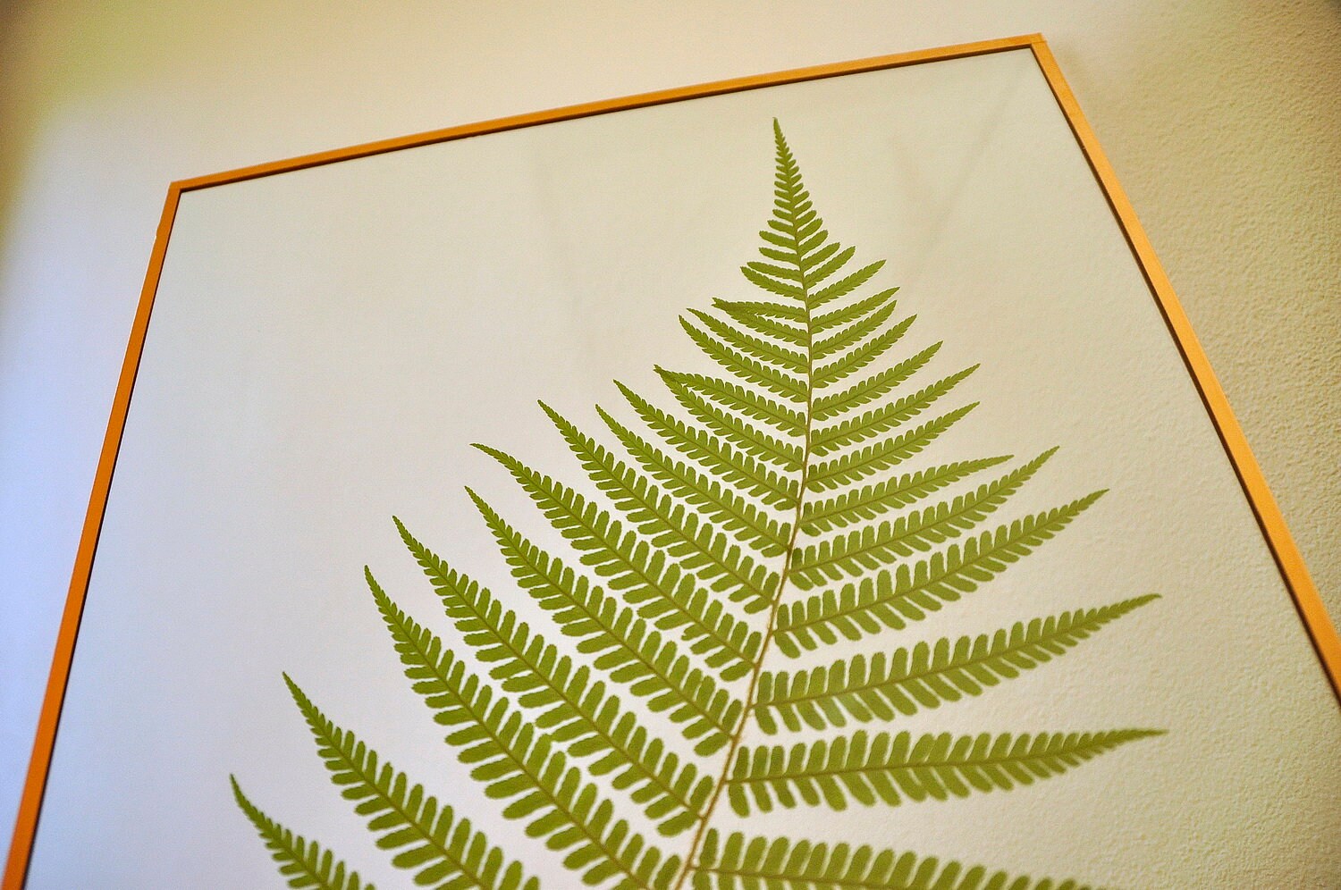 Pressed Fern in Glass. Copper Frame. Fern Frame. Minimalism. - Etsy ...