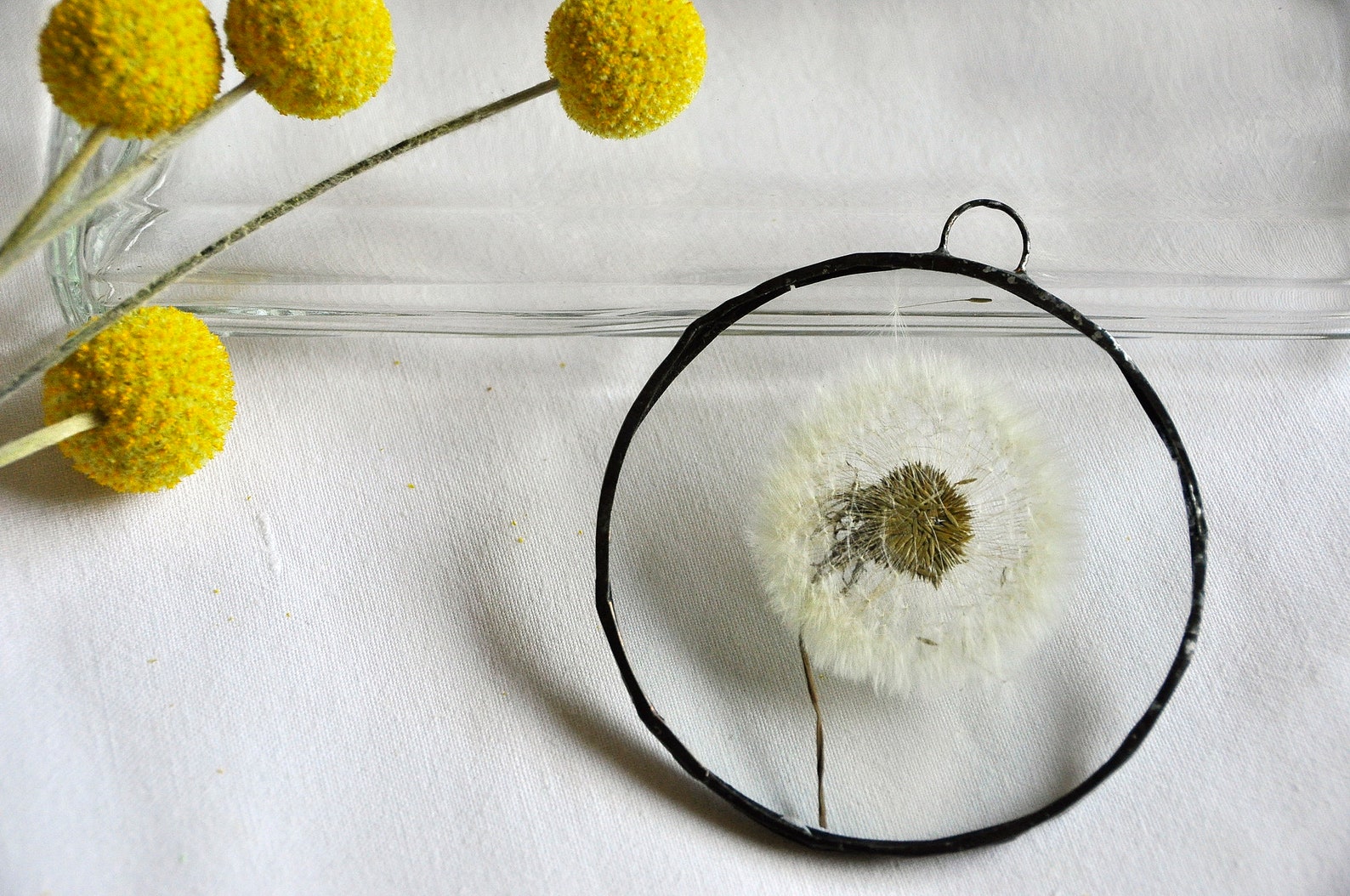 Pressed Dandelion Frame Round Dandelion Frame Make a Wish - Etsy