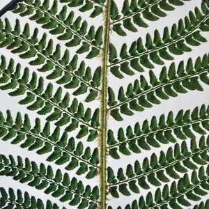 Pressed Fern Frame Fern in Round Frame Green Fern in Glass | Etsy