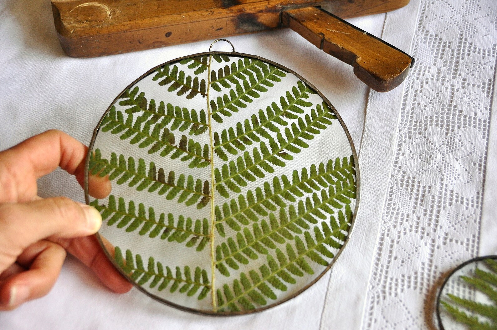 Pressed Fern Frame Fern in Round Frame Green Fern in Glass - Etsy