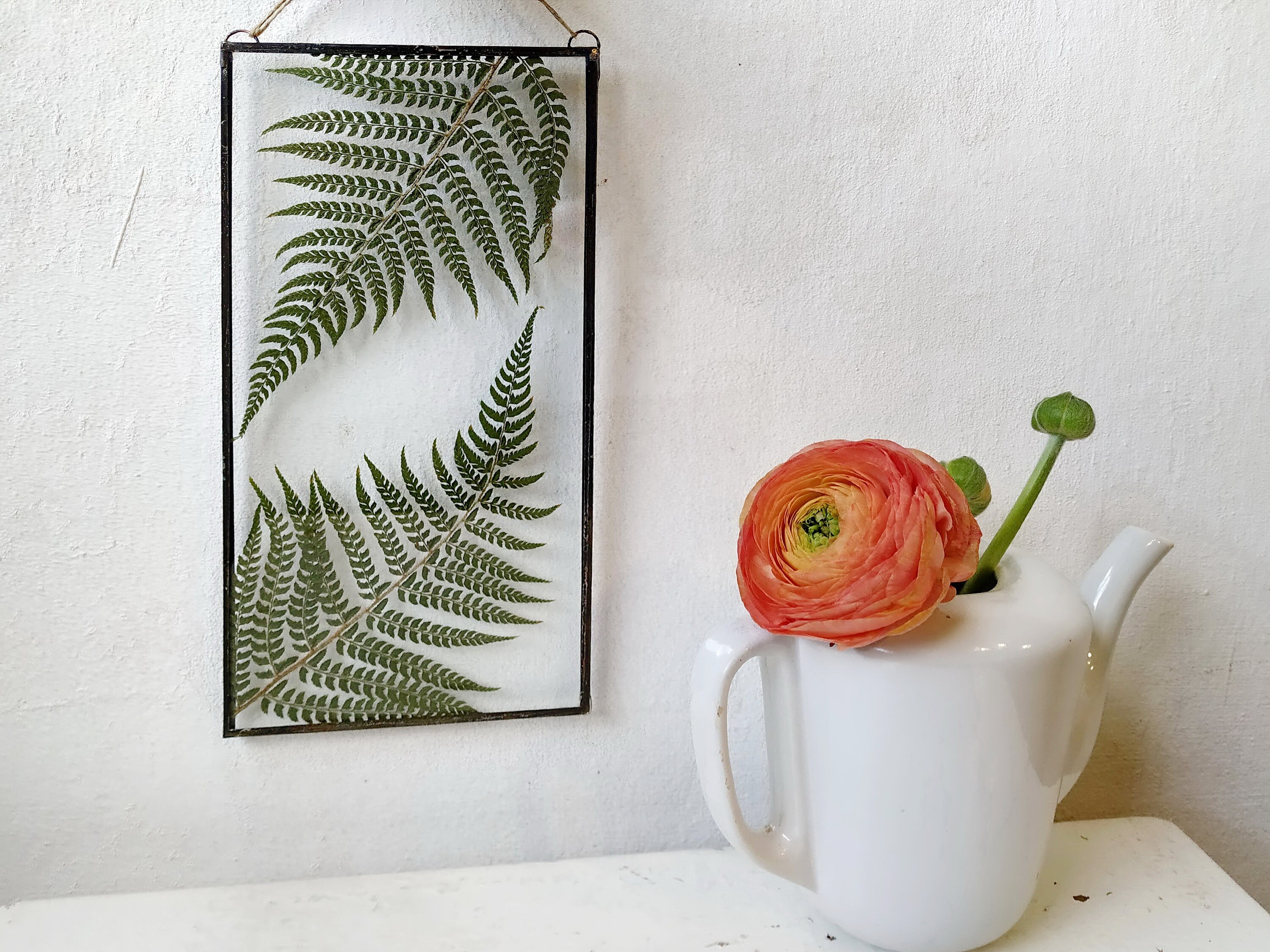 Pressed Fern Frame Frame With Fern Two Fern Frame Pressed - Etsy Canada