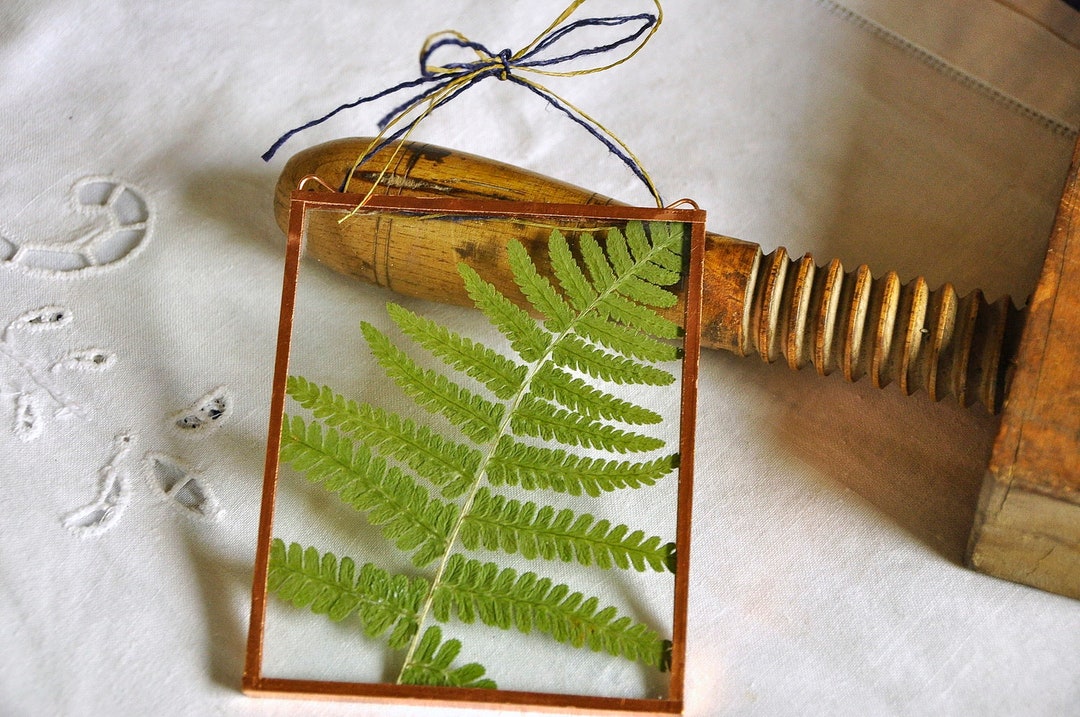 Pressed Fern Frame. Fern Art. Glass Frame. Copper Taped Frame ...