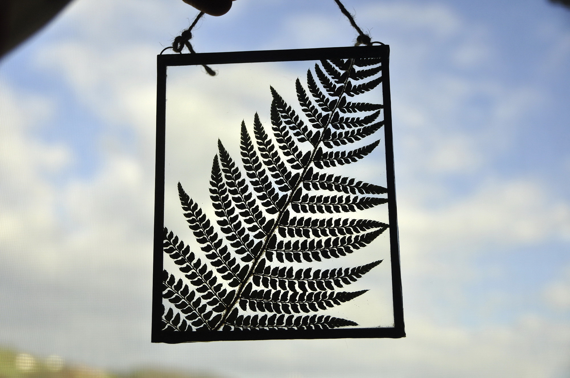 Green Fern frame Real Fern glass frame Green Fern Forest | Etsy