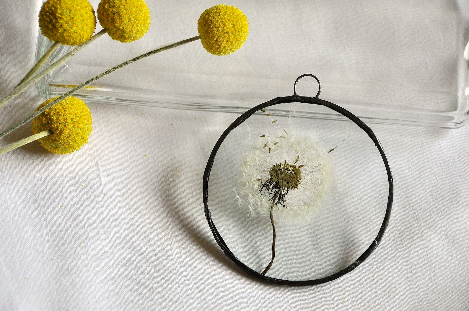Pressed Dandelion Frame Round Dandelion Frame Make a Wish - Etsy