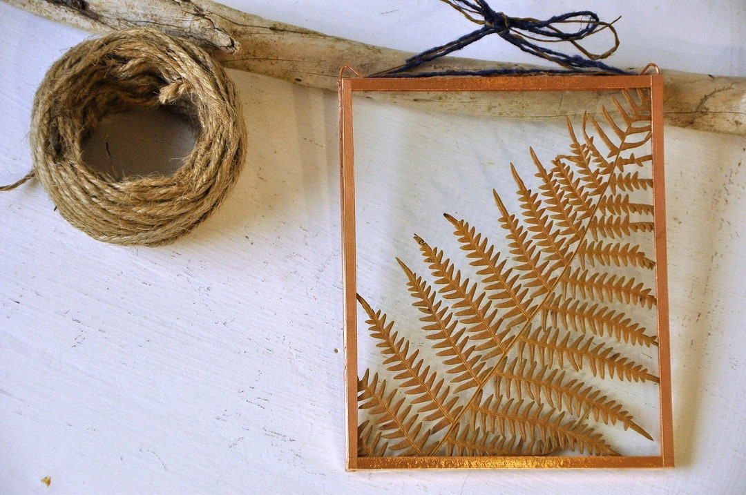 Pressed Fern Frame, Fern Plant Art, Autumn Fern Golden, Golden Brown ...