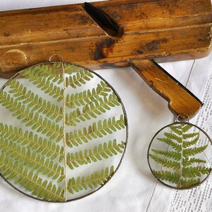Pressed Fern Frame Fern in Round Frame Green Fern in Glass | Etsy