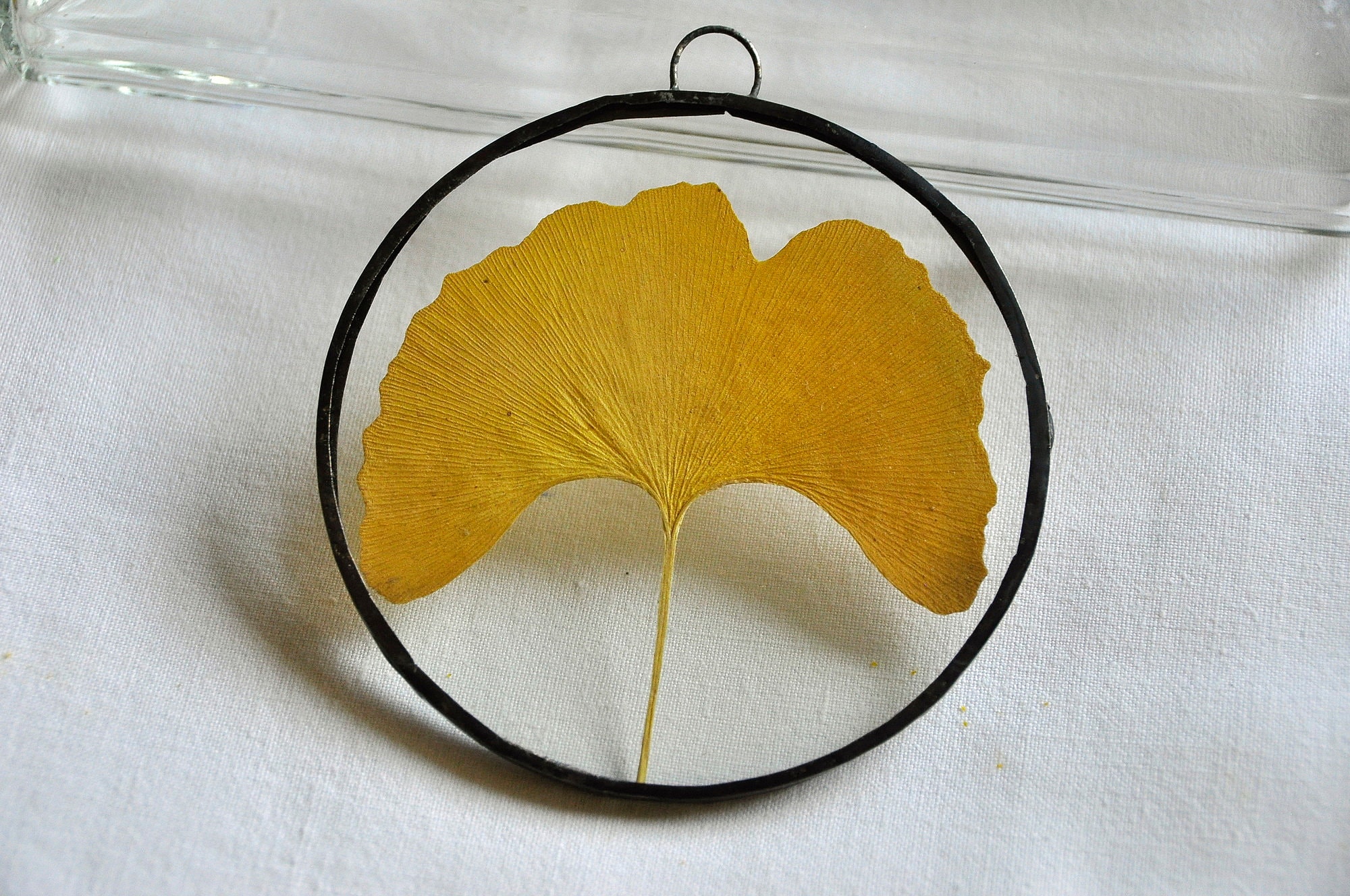 Pressed Gingko Leaf Frame Round Gingko Frame Golden Yellow - Etsy