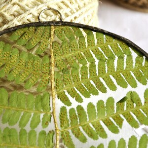 Pressed Fern Frame Fern in Round Frame Green Fern in Glass | Etsy