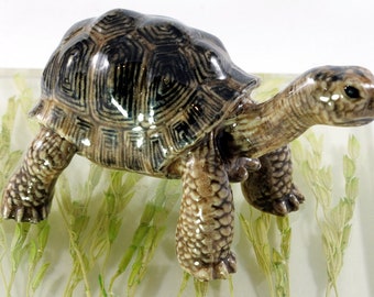 Porcelain Turtle - Etsy