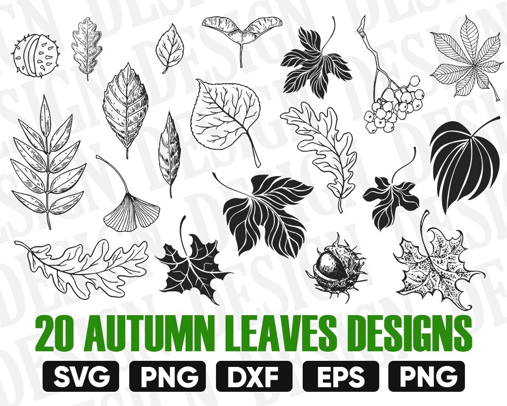 Leaves autumn svg autumn svg fall leaves svg thanksgiving | Etsy