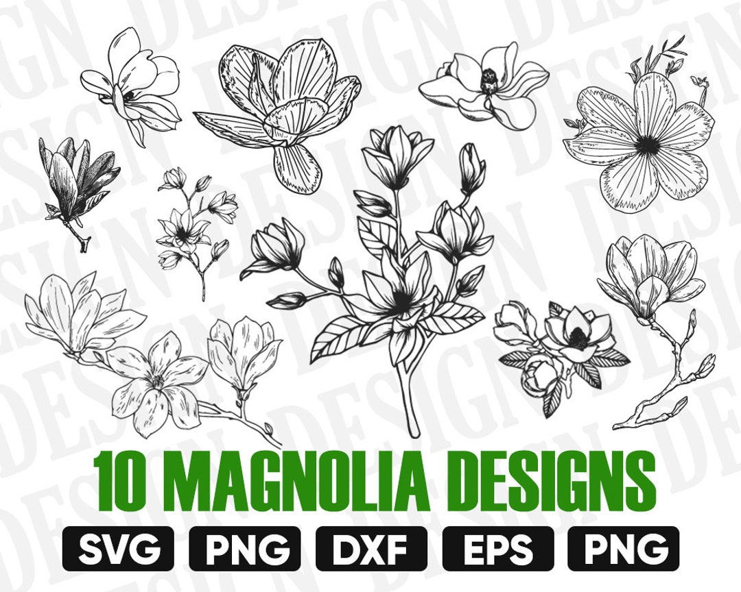 Magnolia Flowers Svg Bundle, Flowers Svg, Floral Svg, Silhouette Cameo ...