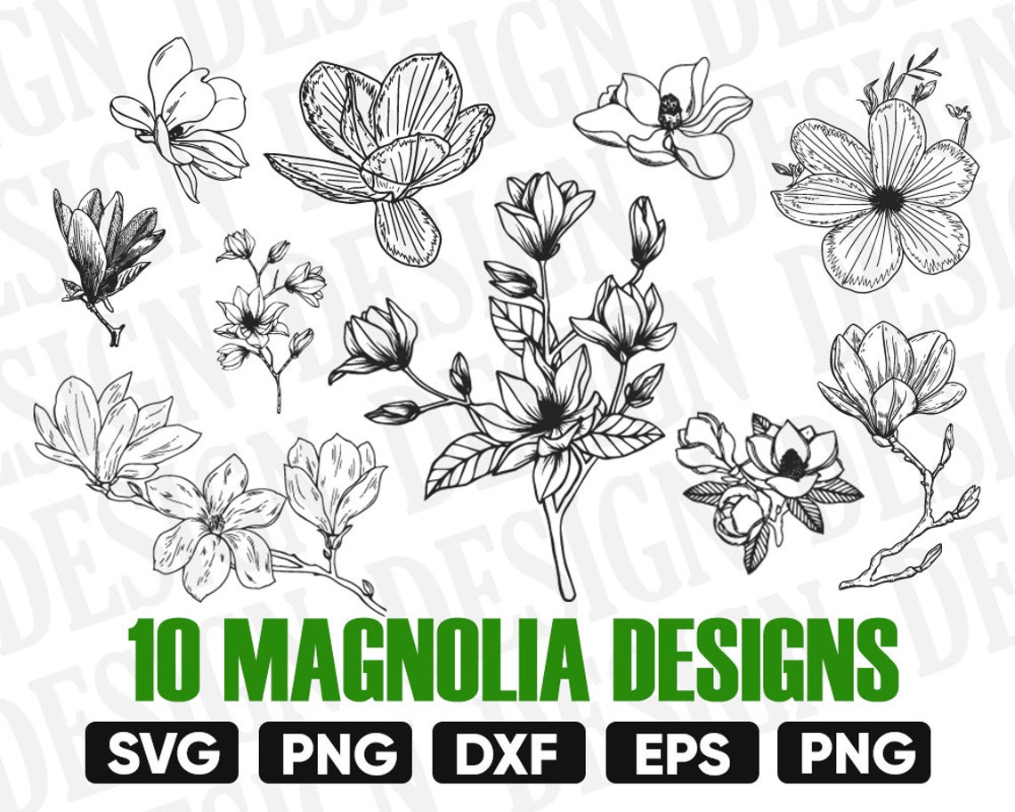 Magnolia Flowers Svg Bundle Flowers Svg Floral Svg - Etsy