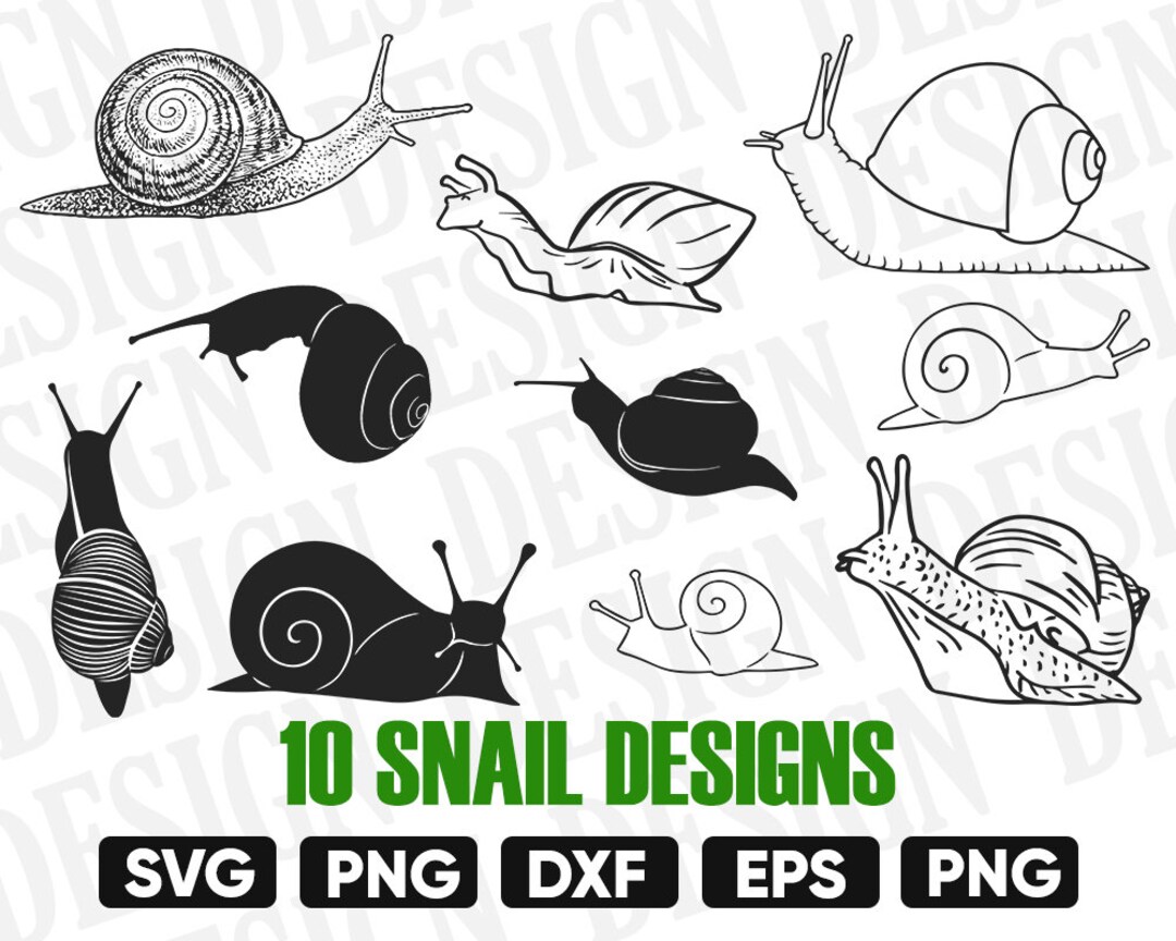 Snail Clipart, Snail Svg, Snail Vector, Snail Cut File, Snail ...