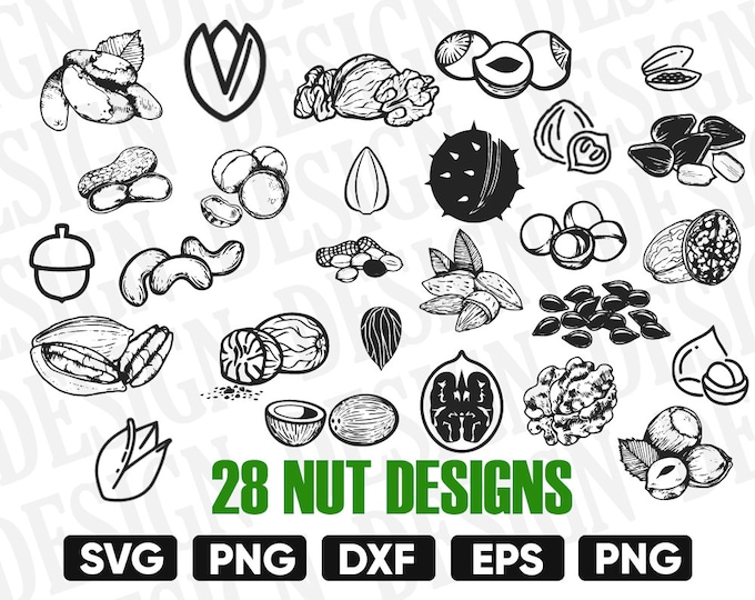 Nut Svg Bundle, Nutcracker Svg, Nuts Vector, Silhouette Nut, Walnut ...