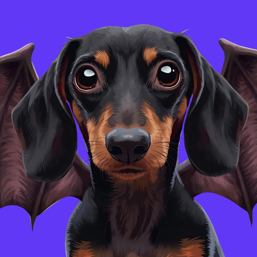 Spooky Dachshund Bat Wings PNG: Halloween Wiener Dog Clipart (12x12 ...