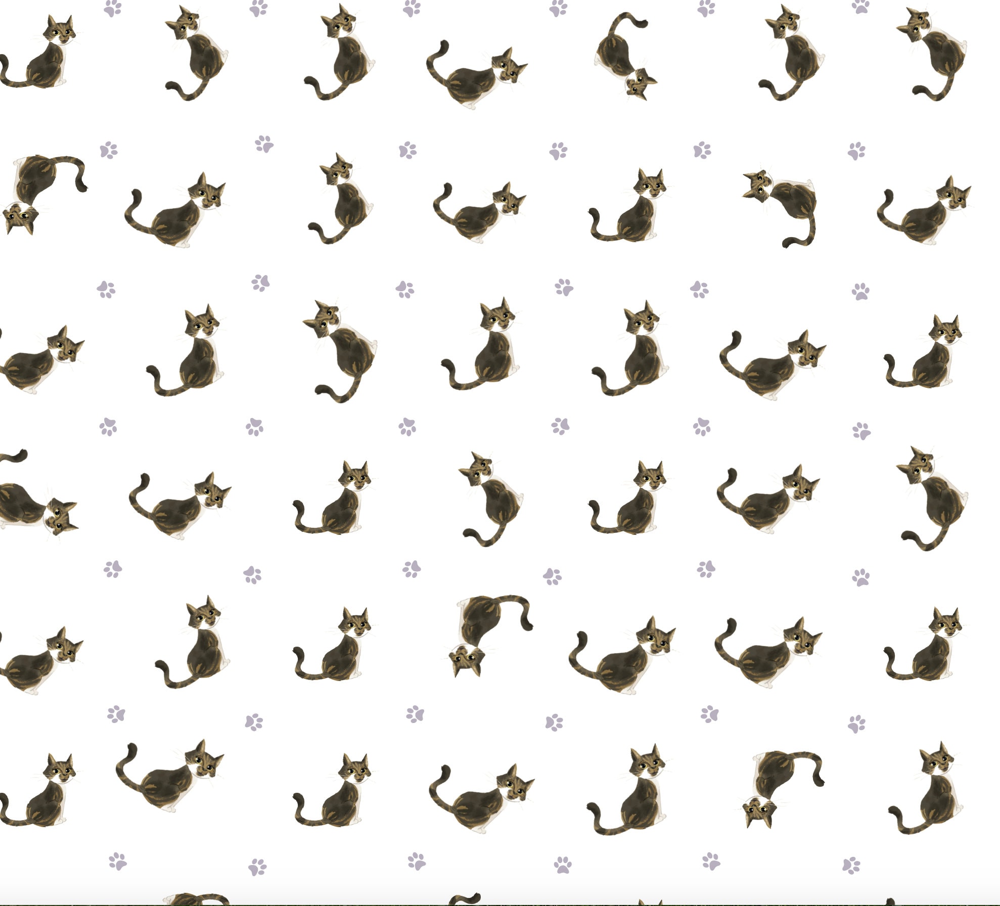 Cute Cats Wrapping Paper 700 x 500mm ISLA Cat Themed Gift | Etsy