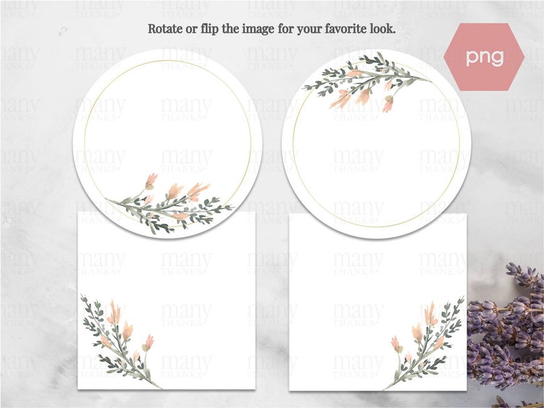 Blush Simple, Foliage and Flower Border Circle + Square PNG, With ...