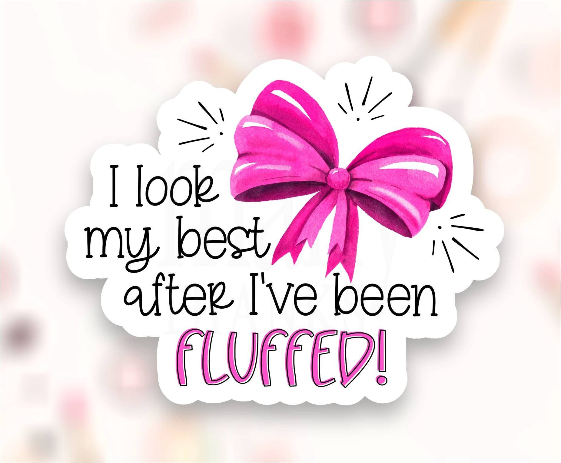 Don't Forget to Fluff Me Sticker PNG Hair Bows Small - Etsy