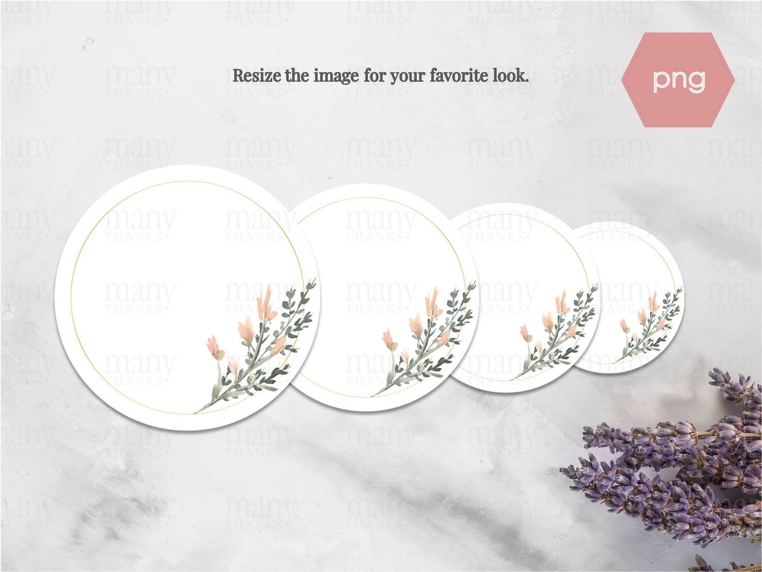 Blush Simple, Foliage and Flower Border Circle + Square PNG, With ...
