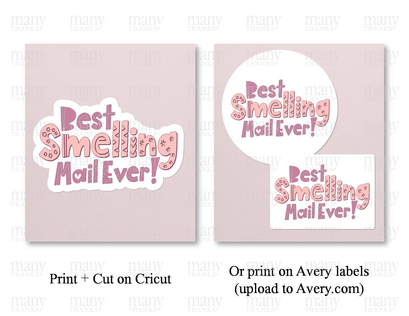 Best Smelling Mail Ever Sticker PNG Scented Wax Melt Business | Etsy