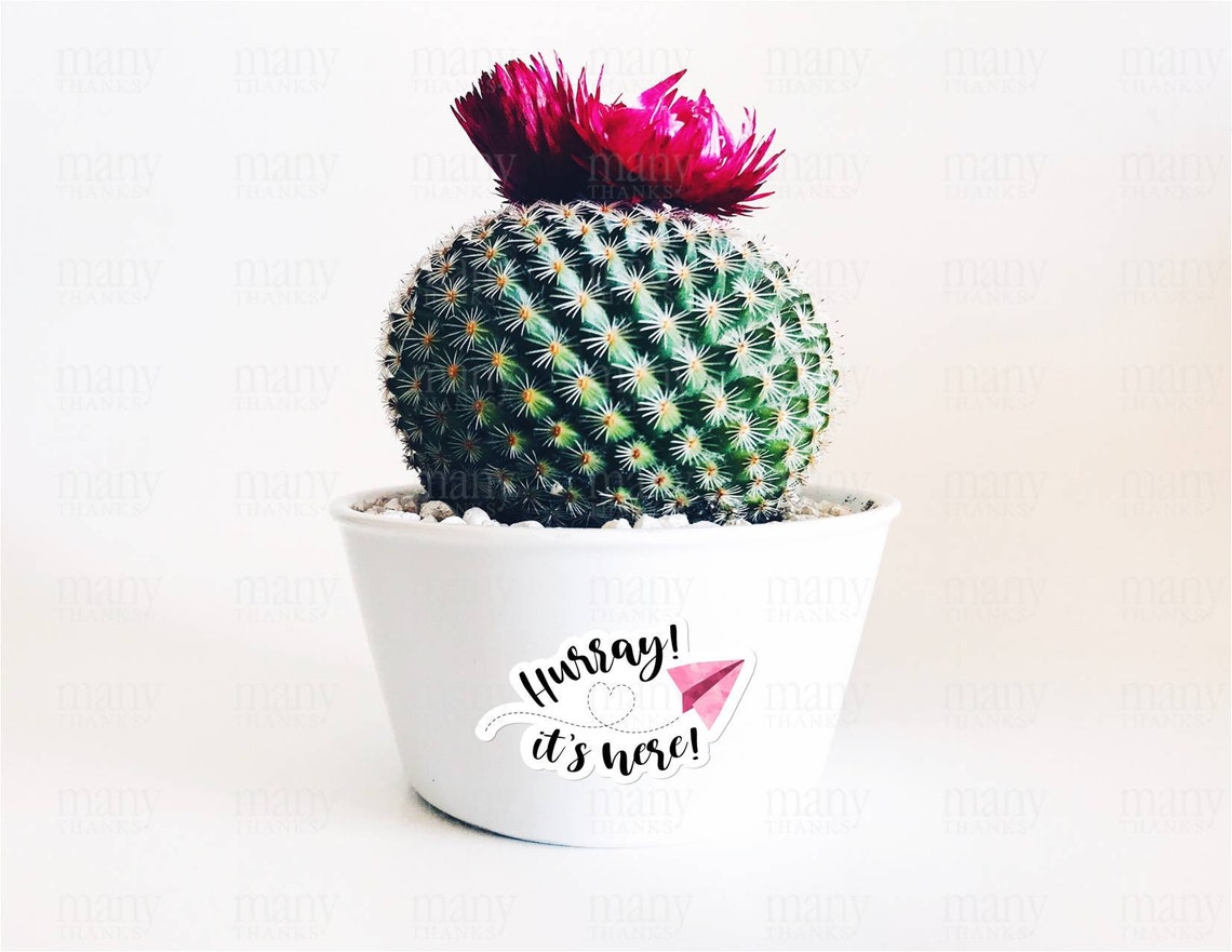 Hurray! It's Here Sticker PNG, Pink Paper Airplane for Small Business ...