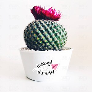 Hurray! It's Here Sticker PNG, Pink Paper Airplane for Small Business ...