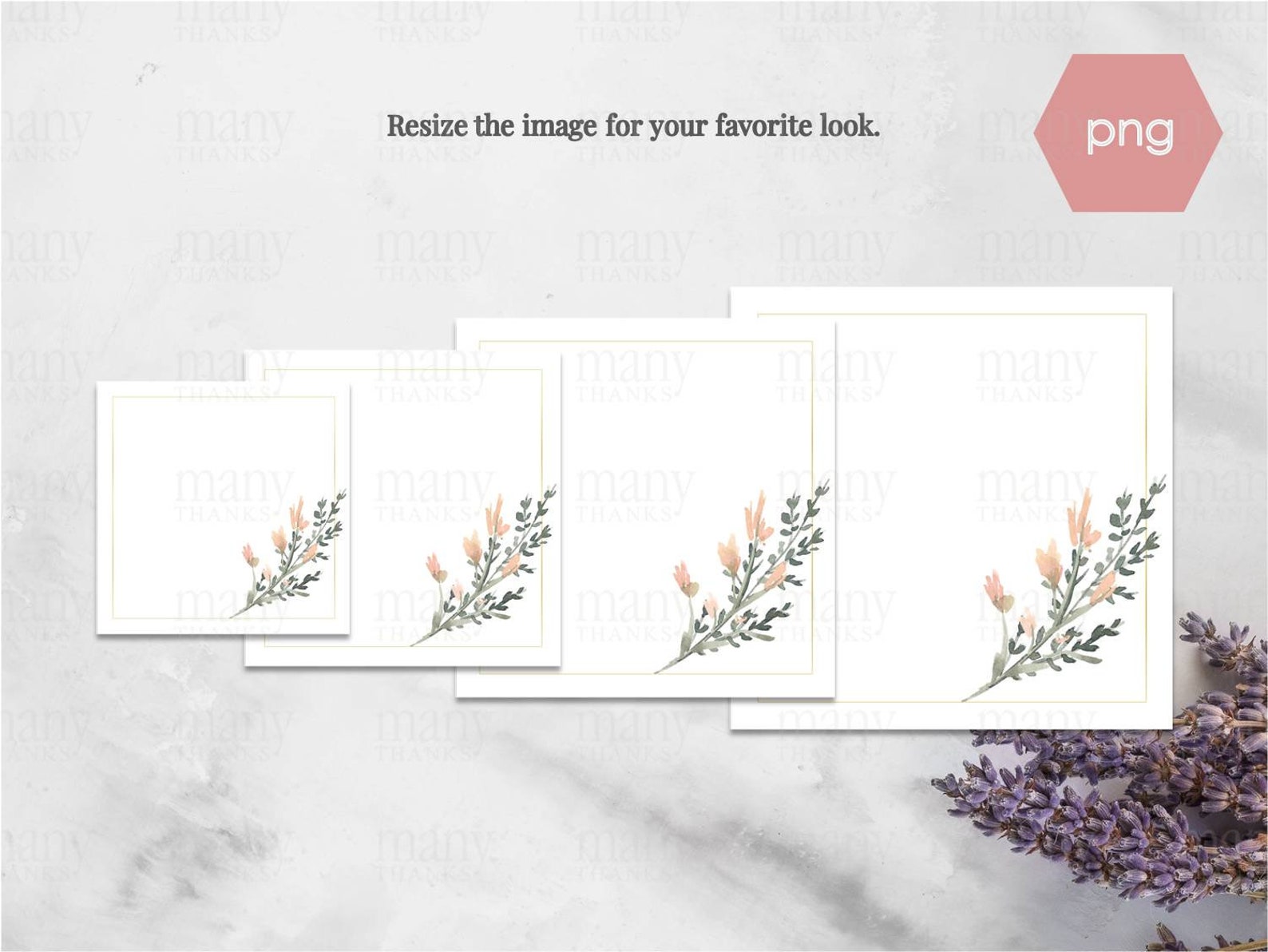 Blush Simple, Foliage and Flower Border Circle + Square PNG, With ...