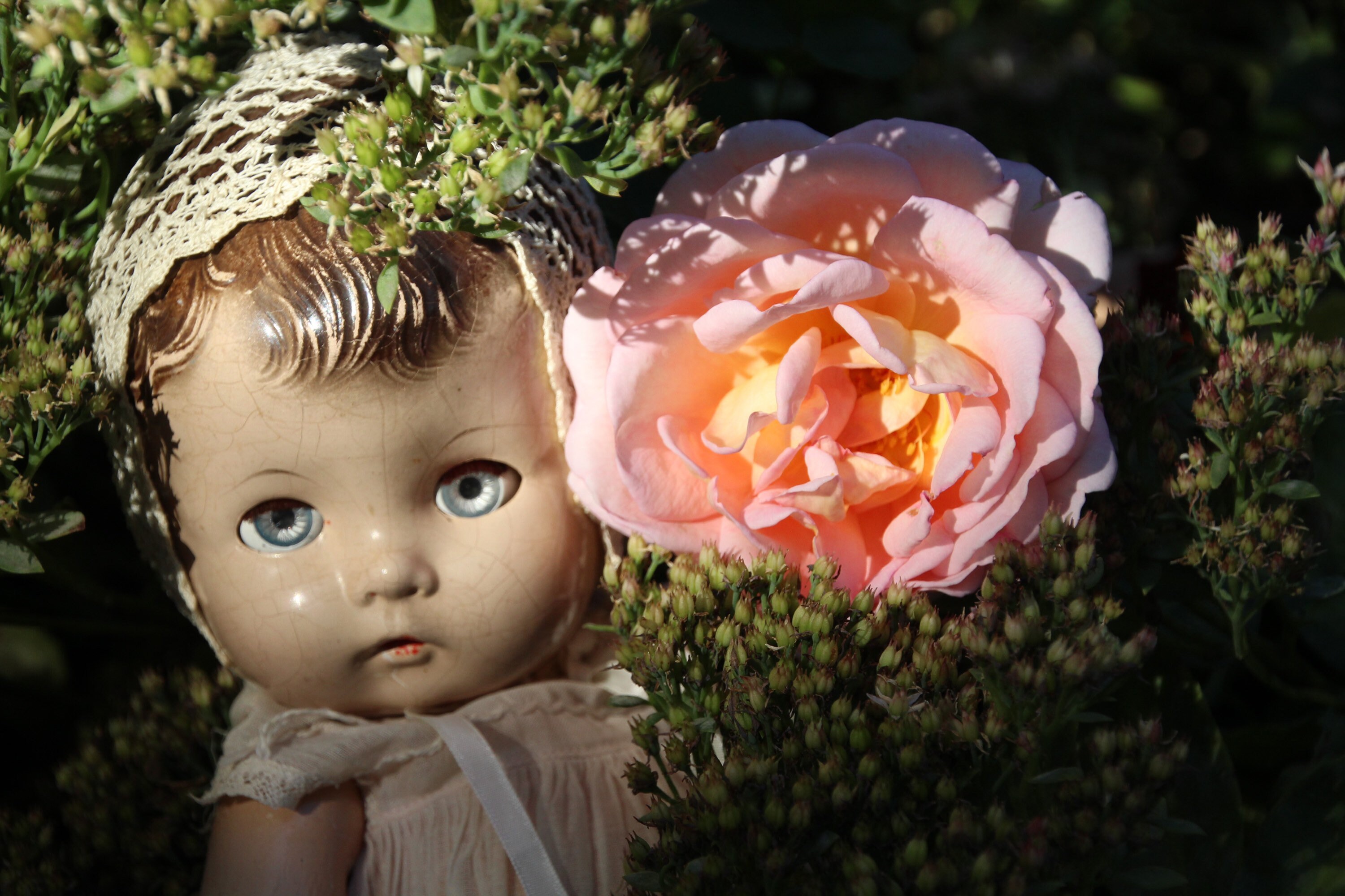 Antique Doll Photo / Flower and Antique Doll Photography /porcelain ...