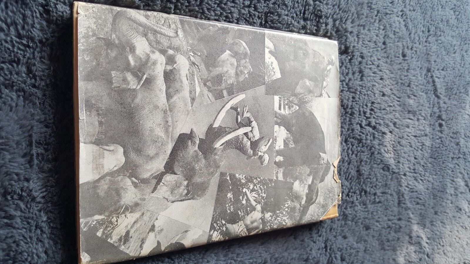 1937 Toomai of the Elephants With Illustrations From Elephant Boy ...