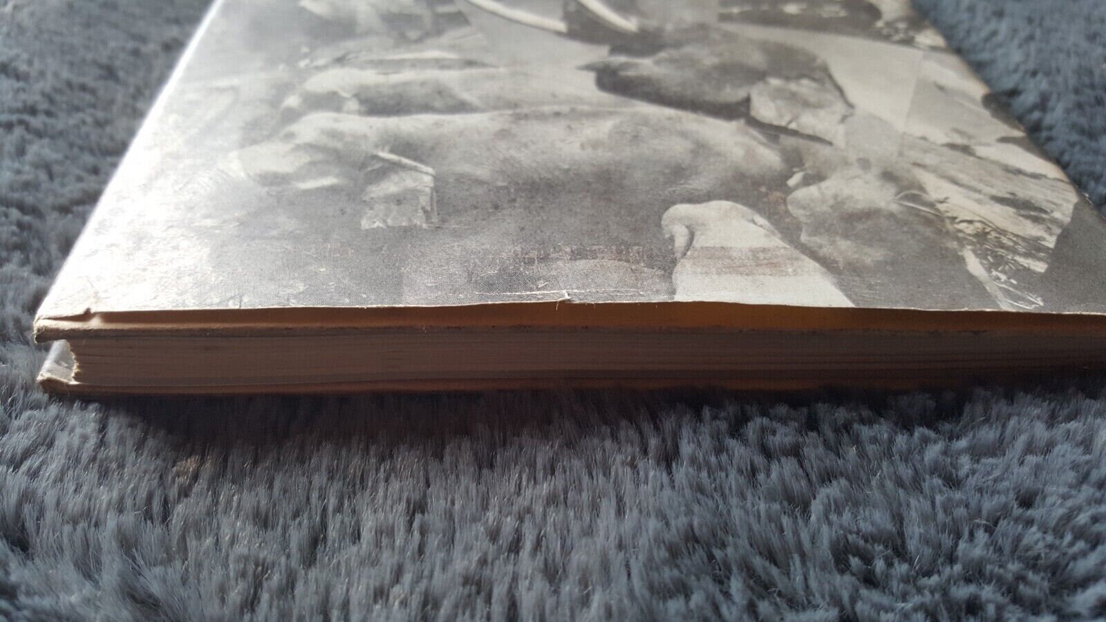 1937 Toomai of the Elephants With Illustrations From Elephant Boy ...