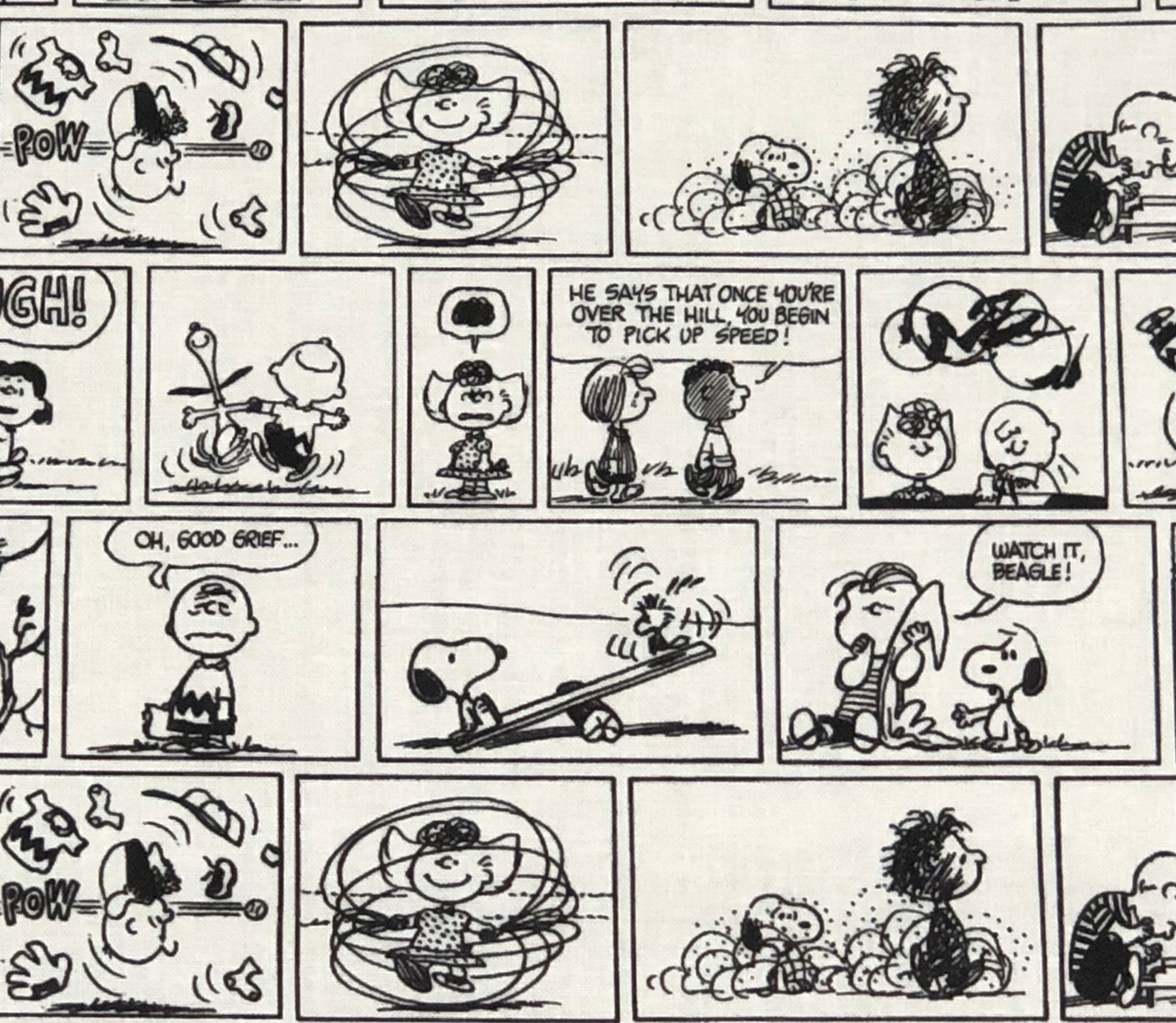 Peanuts Comic