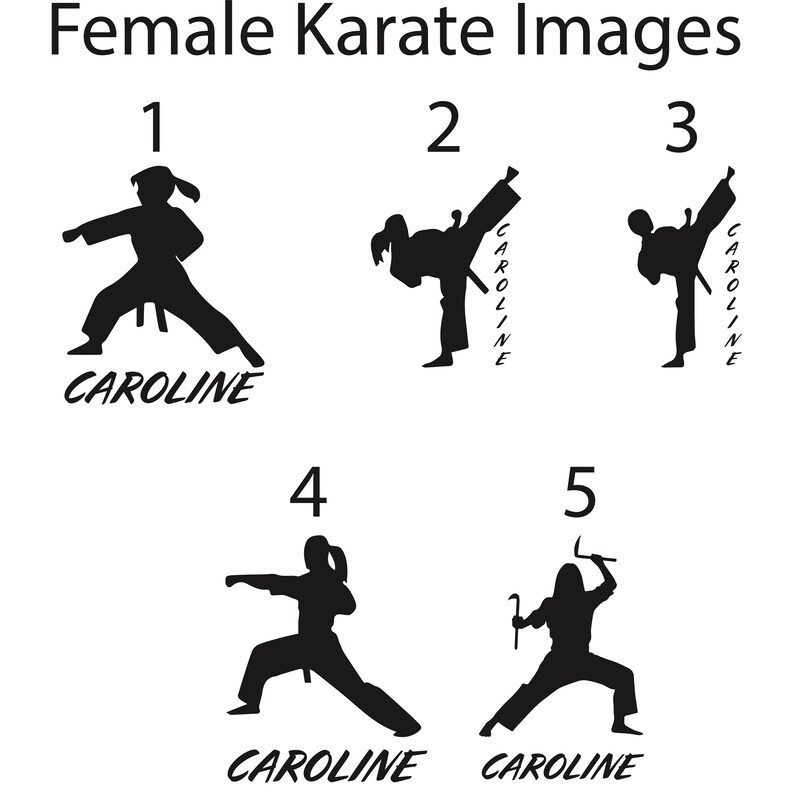 Female Karate Images / Karate Decals / Laptop Decals / Car - Etsy